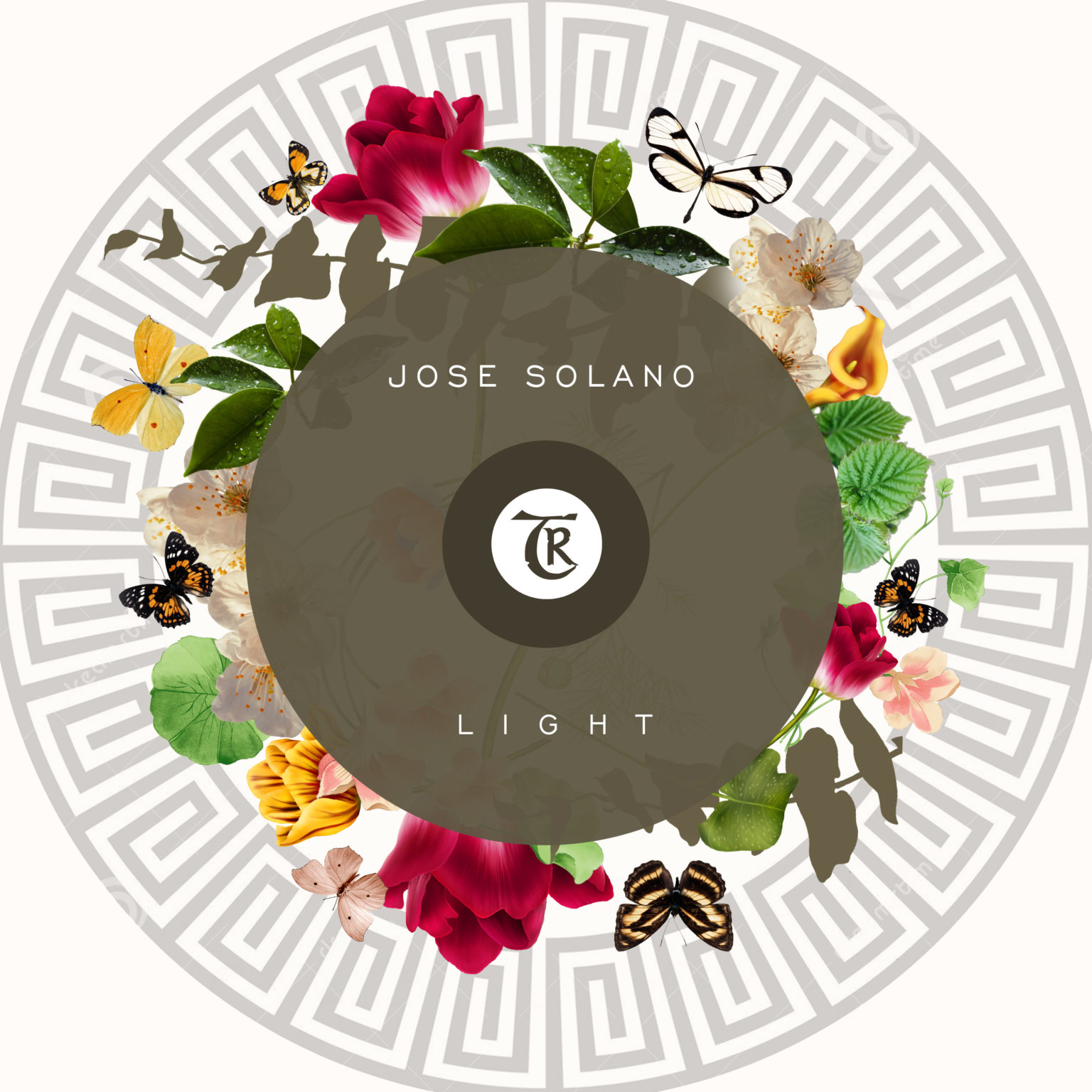 Jose Solano - Light